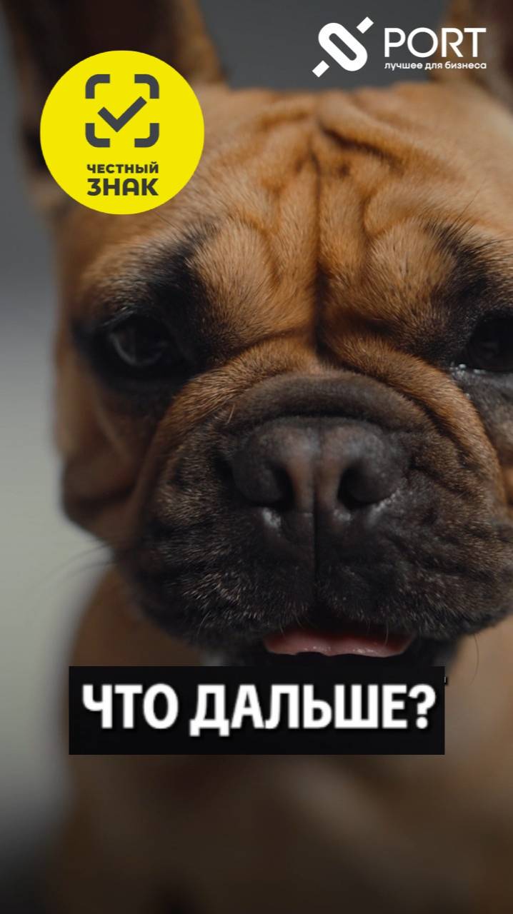 Главное про маркировку корма для животных: что делать бизнесу в 2025-2026 гг.