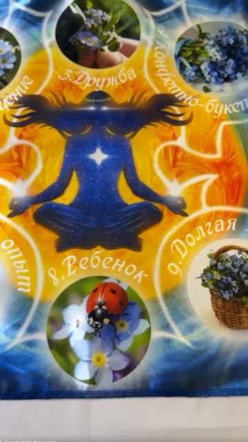 Обзор игры Незабудка