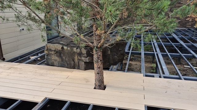 Терраса, навес,  монтаж террасной доски