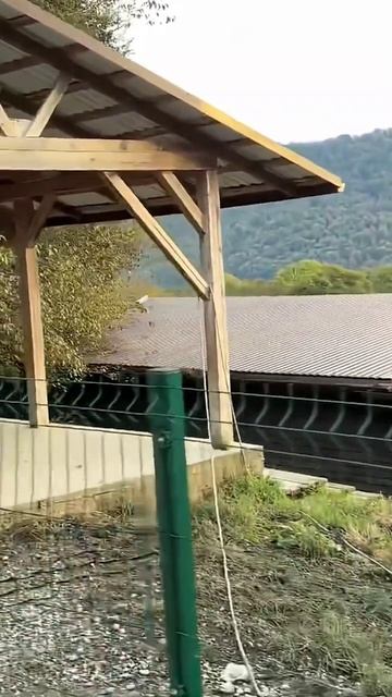 Секретное место в Сочи🤫 #хостасегодня #russia #sochi