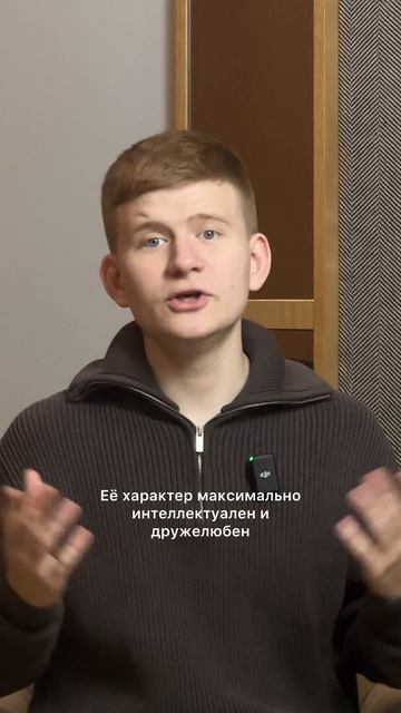 Ты не теряешь мотивацию — ты просто забыл, зачем вообще всё это начал