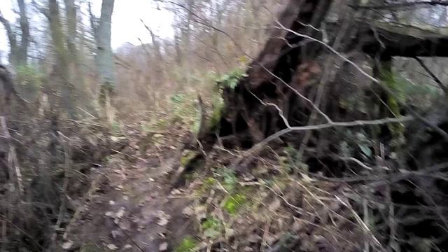 ОХОТА ОПЯТЬ ВСЁ УЛЕТЕЛО НЕ ПОНИМАЮ В ЧЁМ ДЕЛО