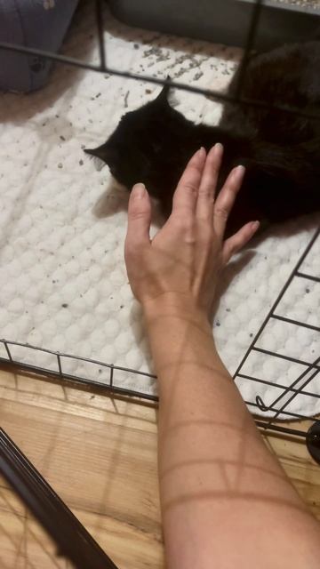 Он первый раз разрешил дотронуться 🥹