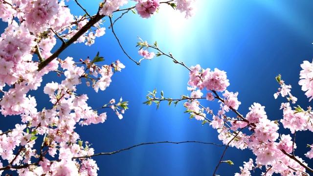 Весна умывает земные просторы.... На стихи Александры Лебедевой