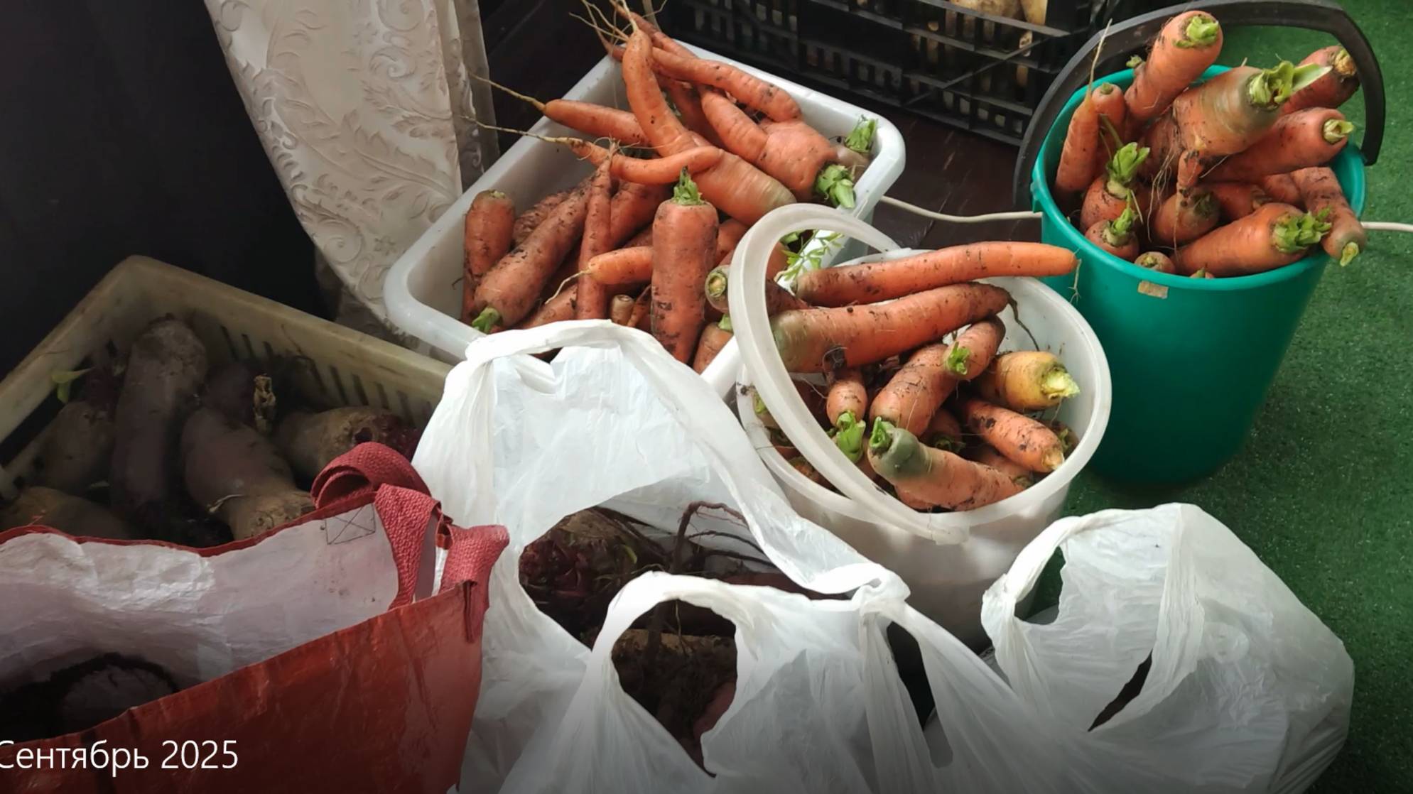 Сентябрь 2025