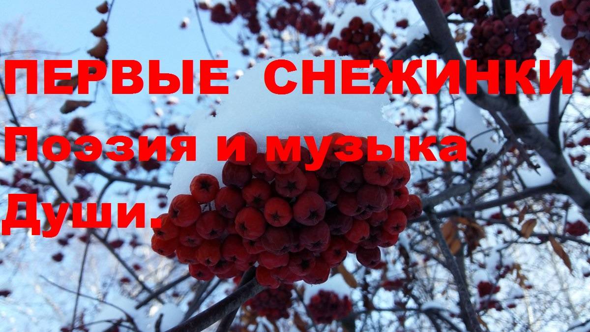 ПЕРВЫЕ СНЕЖИНКИ. Автор стихотворения и видео А. Соколов.