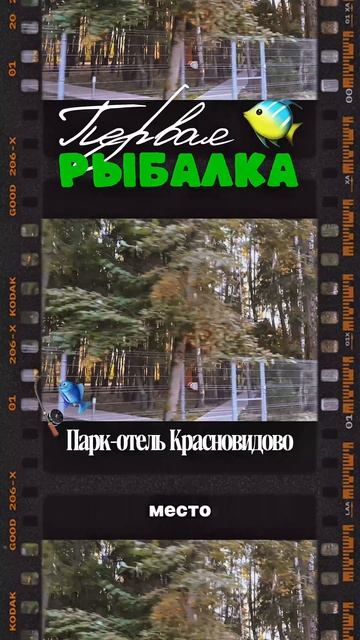 Где рыба клюет в Подмосковье? Смотрите обзор на рыбалку в Красновидово