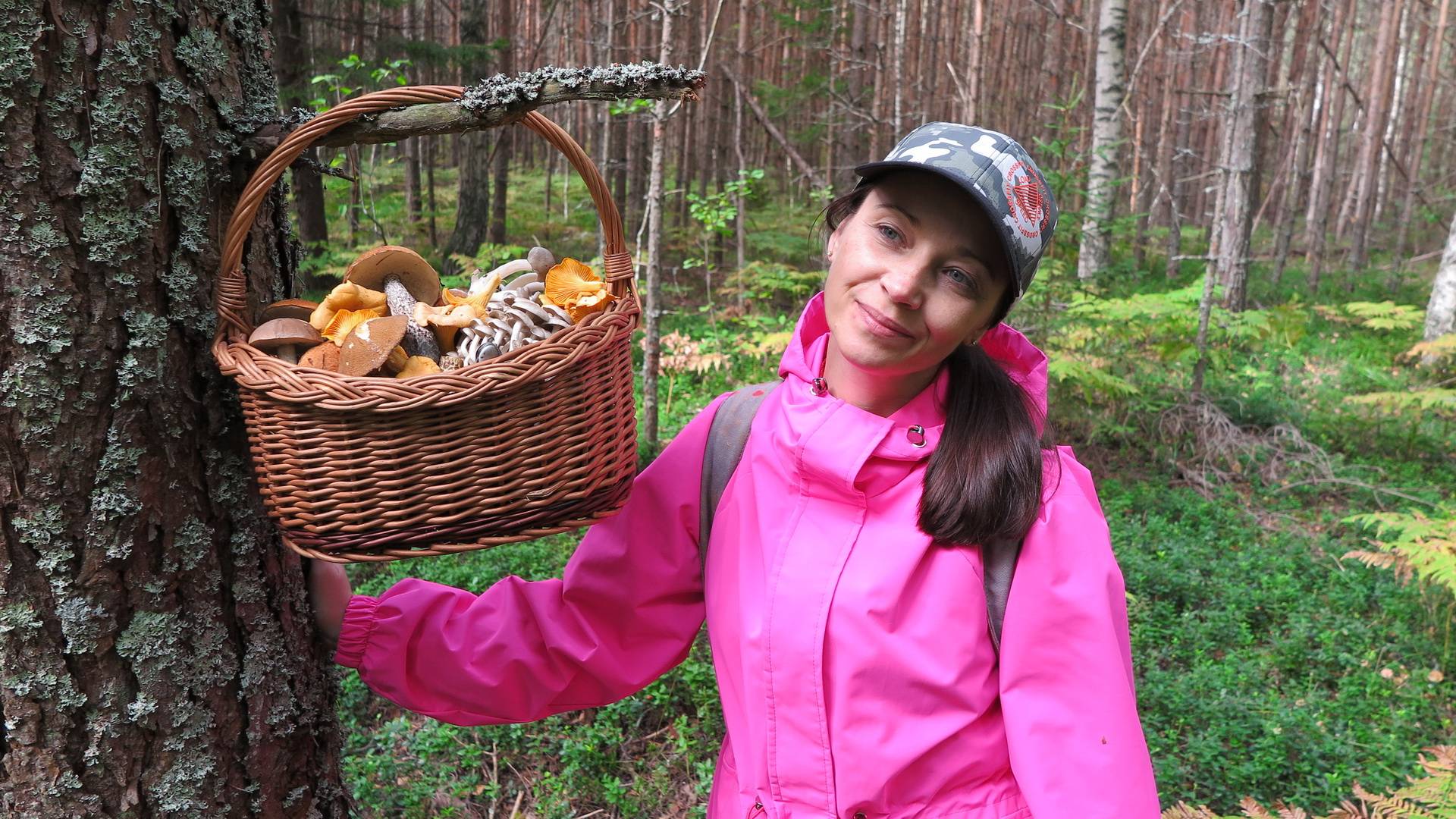 ГРИБЫ В ПОДМОСКОВЬЕ – Обратно в лес за найденными ранее, но не собранными грибами | 2 ЧАСТЬ