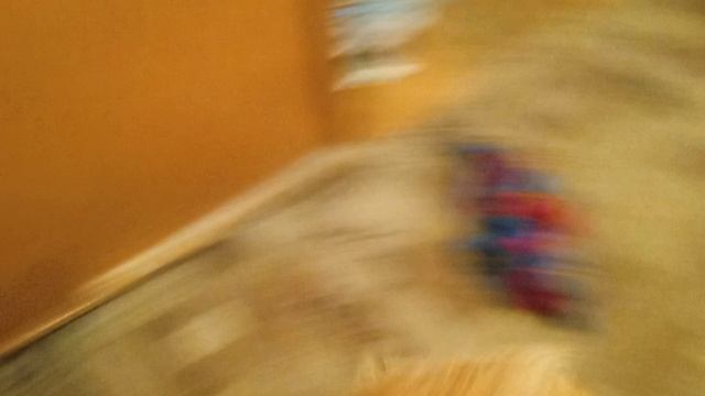 Макс и Вик, октябрь 25