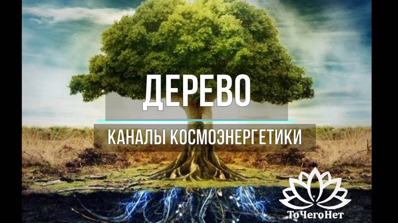 Дерево (блок Синтез) || Теория и практика || Работа с Родом || Школа "ТоЧегоНет"