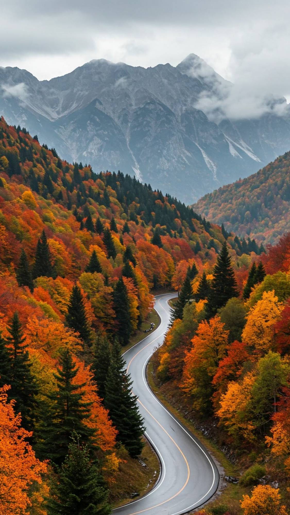 ЦИТАТЫ О ЛЮБВИ | ПРП ПАИСИЙ СВЯТОГОРЕЦ #вечная_любовь #вечнаялюбовь #цитаты_о_любви #цитатыолюбви