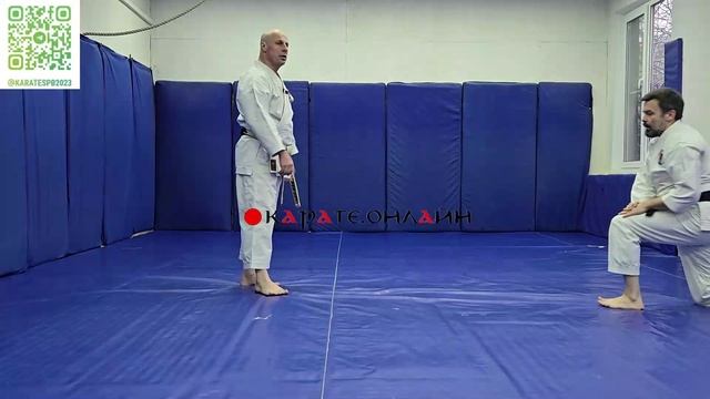 Хейан Нидан. Часть 07. каратэ.онлайн