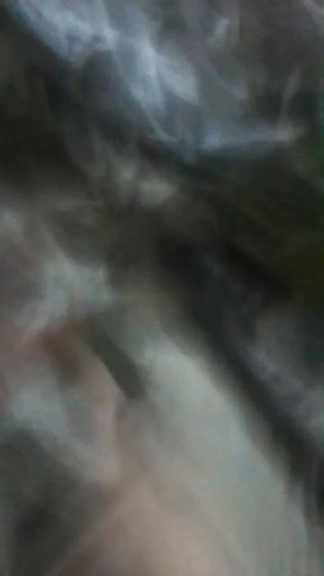 21 октября 2025 г.