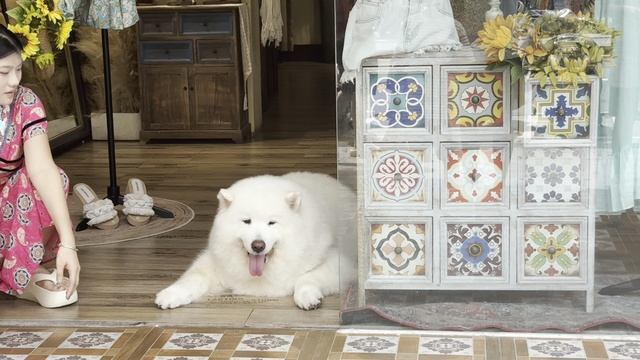 Дорога от кафе 12 Стульев и У Лины до отеля Ssaw Boutique Hotel Sanya. Санья. Китай. Дадунхай