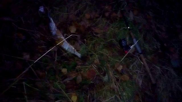 ПЕРВАЯ ЩУКА НА ДЖИГ ОКТЯБРЬ 2025 ПО ТЁМНОМУ