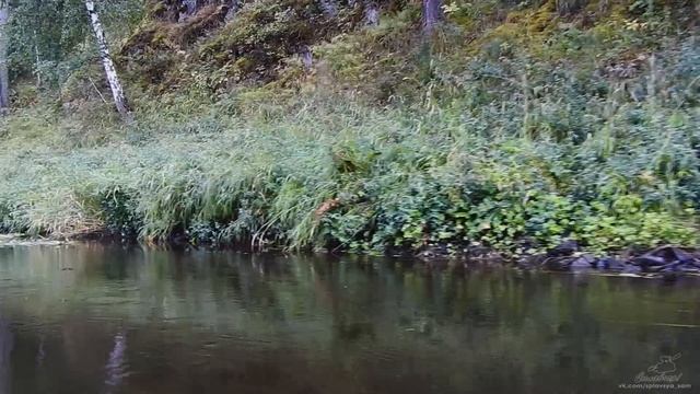 Сплав по реке Нейва. Мелкозёрово - Алапаевск. Август 2025 года. Часть 1