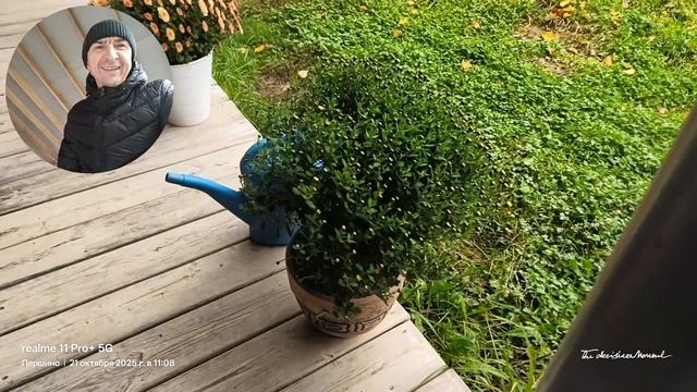 Приятно запоздалые цветочки к 20-ой годовщине нашей свадьбы .