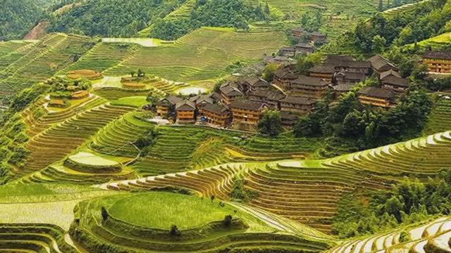 Рисовые поля в Китае - познавательное видео