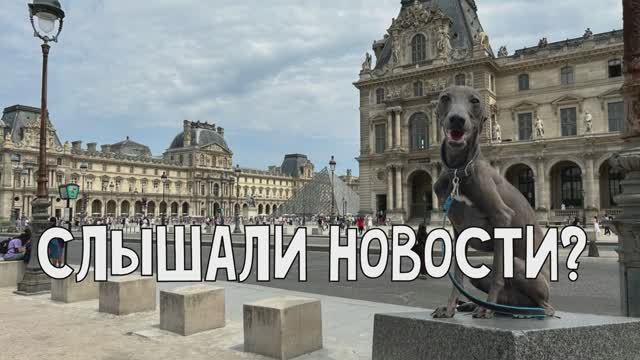 ЛЕВРЕТКА И ЛУВР