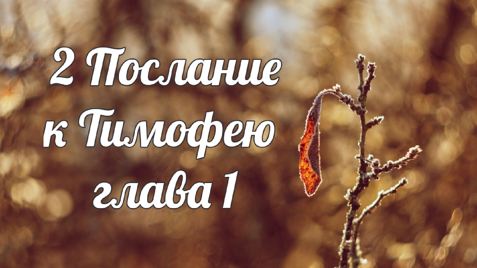 2 Послание к Тимофею глава 1