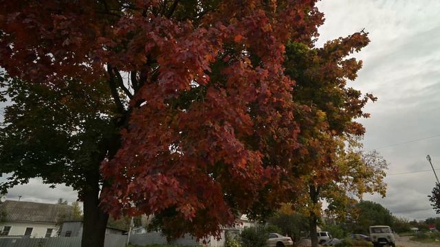 Осень в Туле(3)