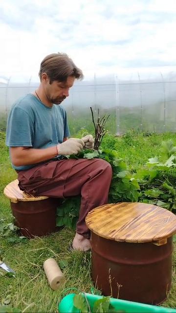 Вяжу веники для бани