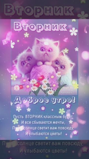 доброе утро🍰