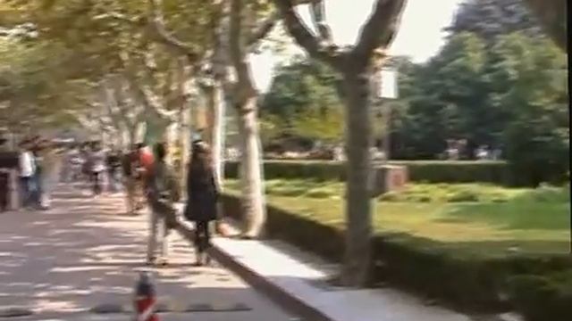 Шанхайский Педагогический Shanghai Normal University