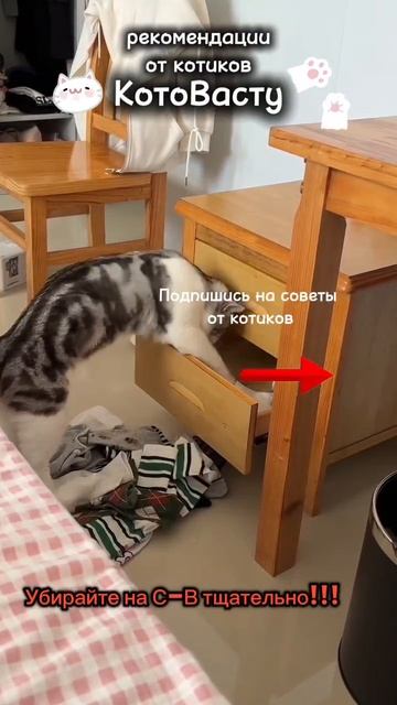 Коррекция Северо-Восточного сектора