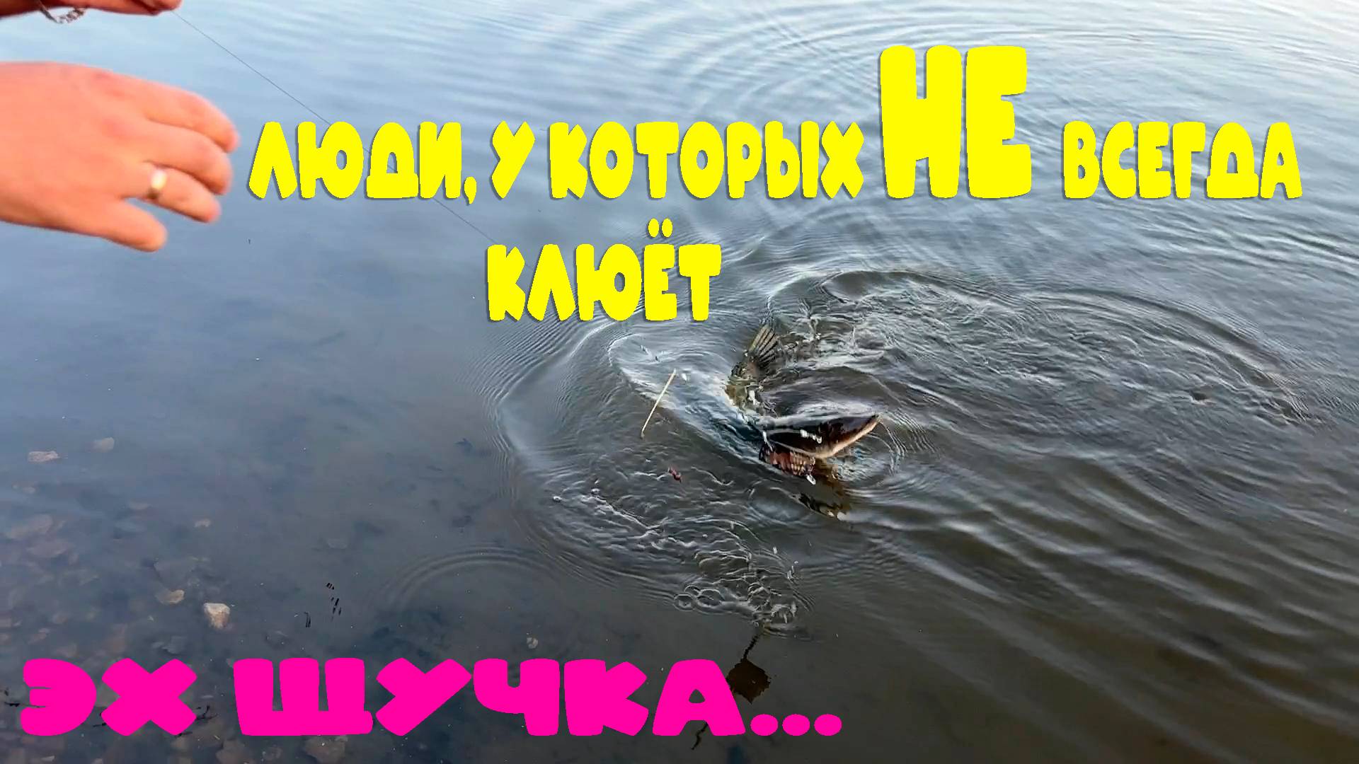 ЛЮДИ, У КОТОРЫХ не ВСЕГДА КЛЮЁТ / ЭХ ЩУЧКА