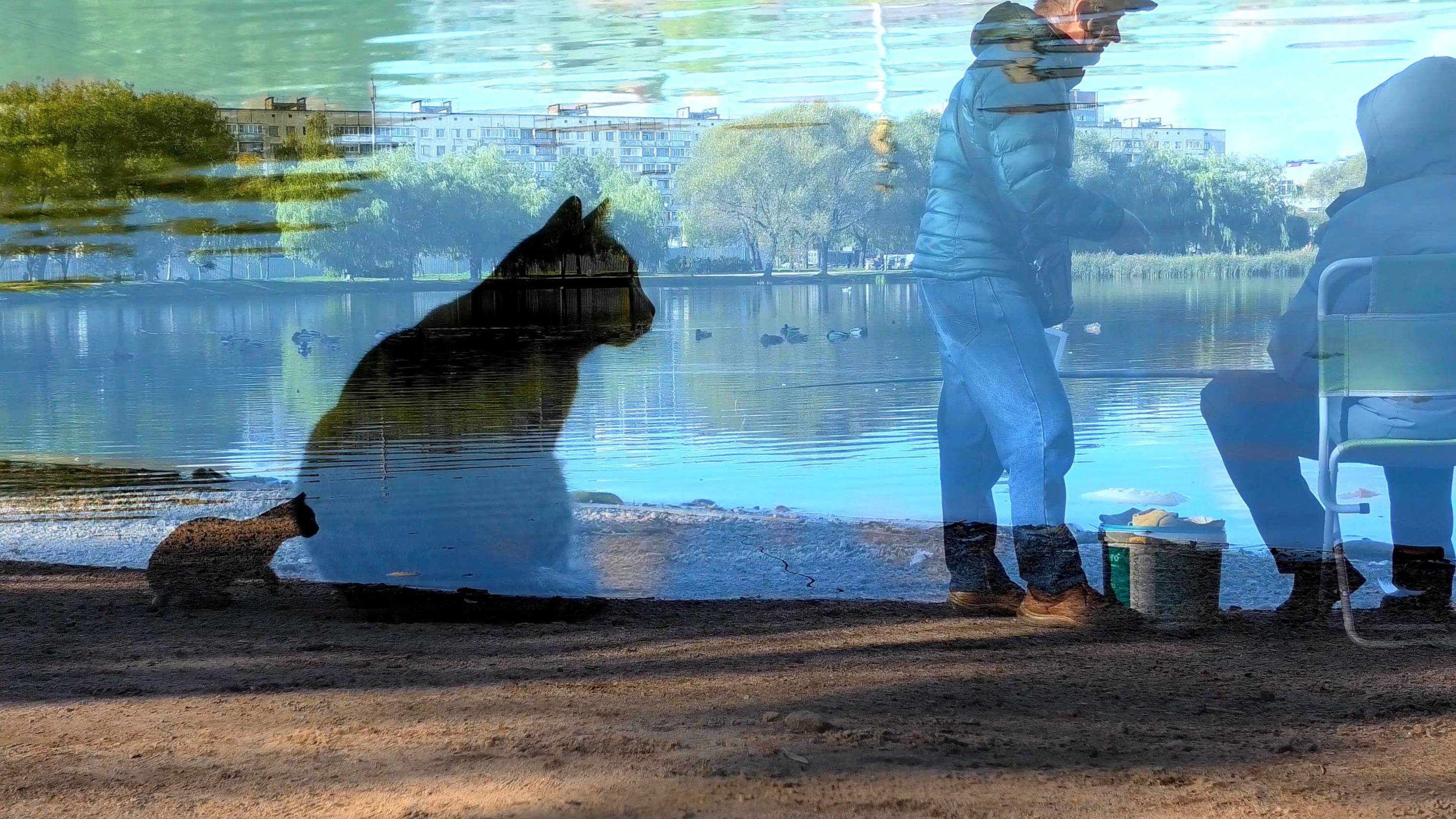 Городская охота и рыбалка