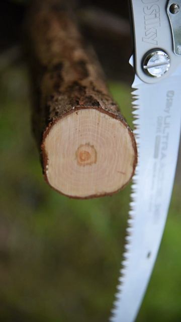 Silky F180, Silky Ultra Accel Curve 240. Пилим восемь сантиметров.