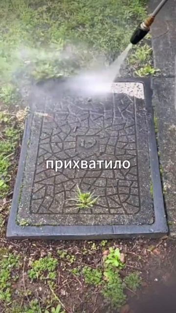 Истории из жизни. "Ответственная" золовка ЧАСТЬ 1