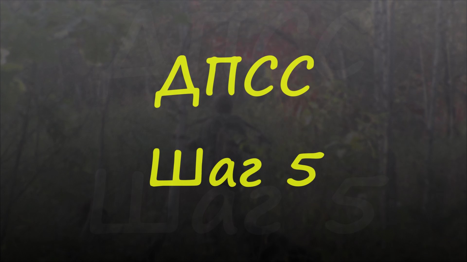 ДПСС. Шаг 5.