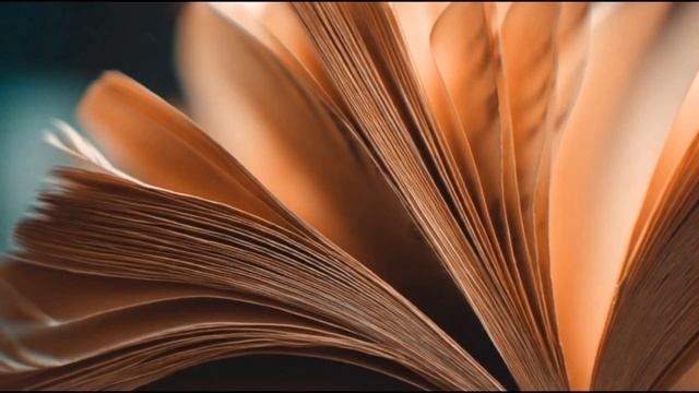 Анна Зуева - Безмолвный диалог. Музыка без слов