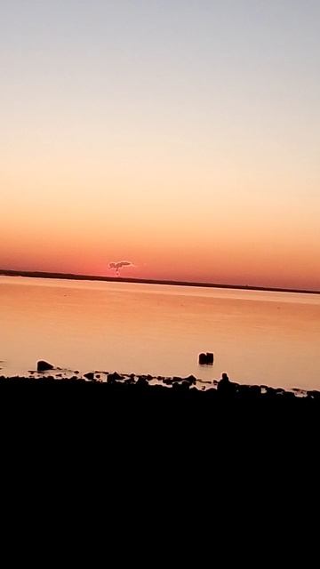 Интересный закат на Финском заливе