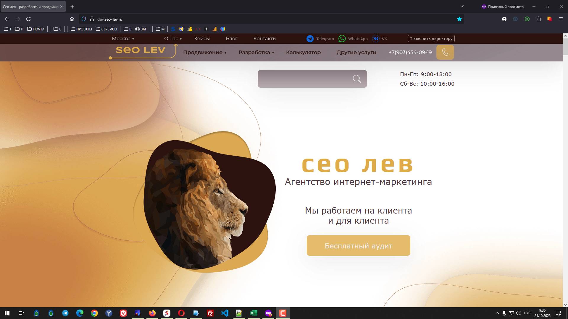 Вторая часть реалити по созданию и продвижению сайта веб студии