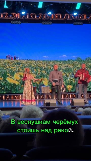 Песня для души и ностальгии – поёт весь зал! Ансамбль ПТАШИЦА, Деревня моя