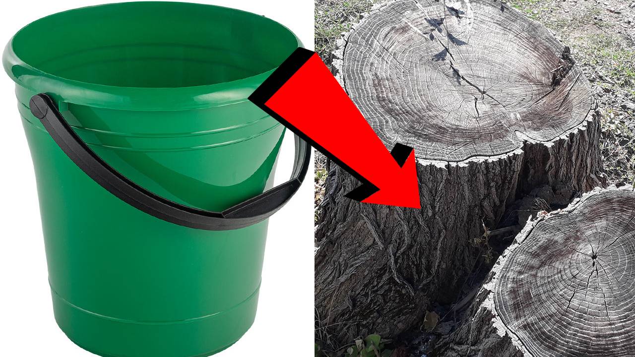 Как избавиться от пня За 3 Секунды..!!!!!!...