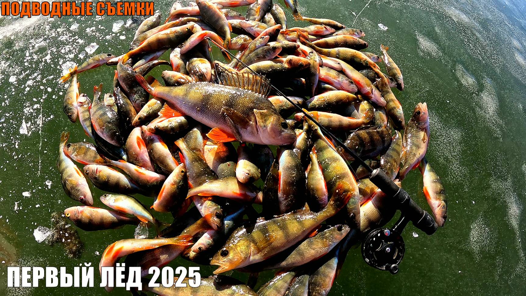 ПЕРВЫЙ ЛЕД 2025-2026 и БЕШЕНЫЙ КЛЁВ РЫБЫ! ПОДВОДНЫЕ СЪЁМКИ!