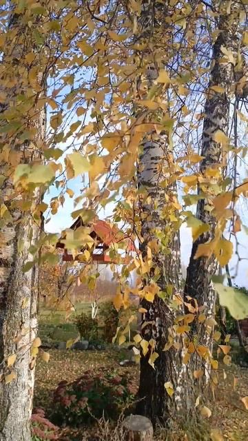 "Диалог с осенью..." автор стихотворения - Олеся Синеглазая