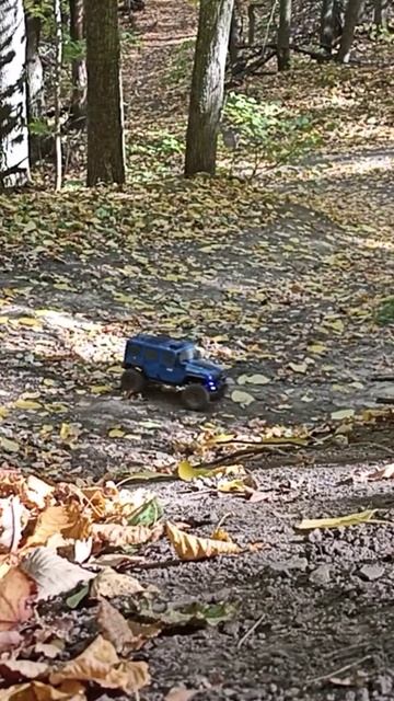Фейл с RGT)) #rc #rccar #crawler #4x4rc #scale #rclife #rcmodel #rcfun #fail #rgt #rgtrc #jeep