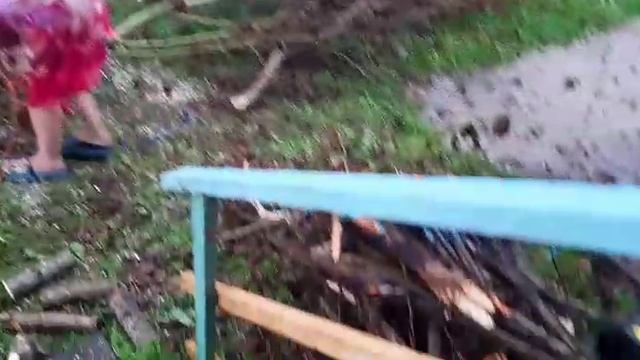 Работаем на даче, рубим дрова,купаемся в бассейне,жарим шашлыки