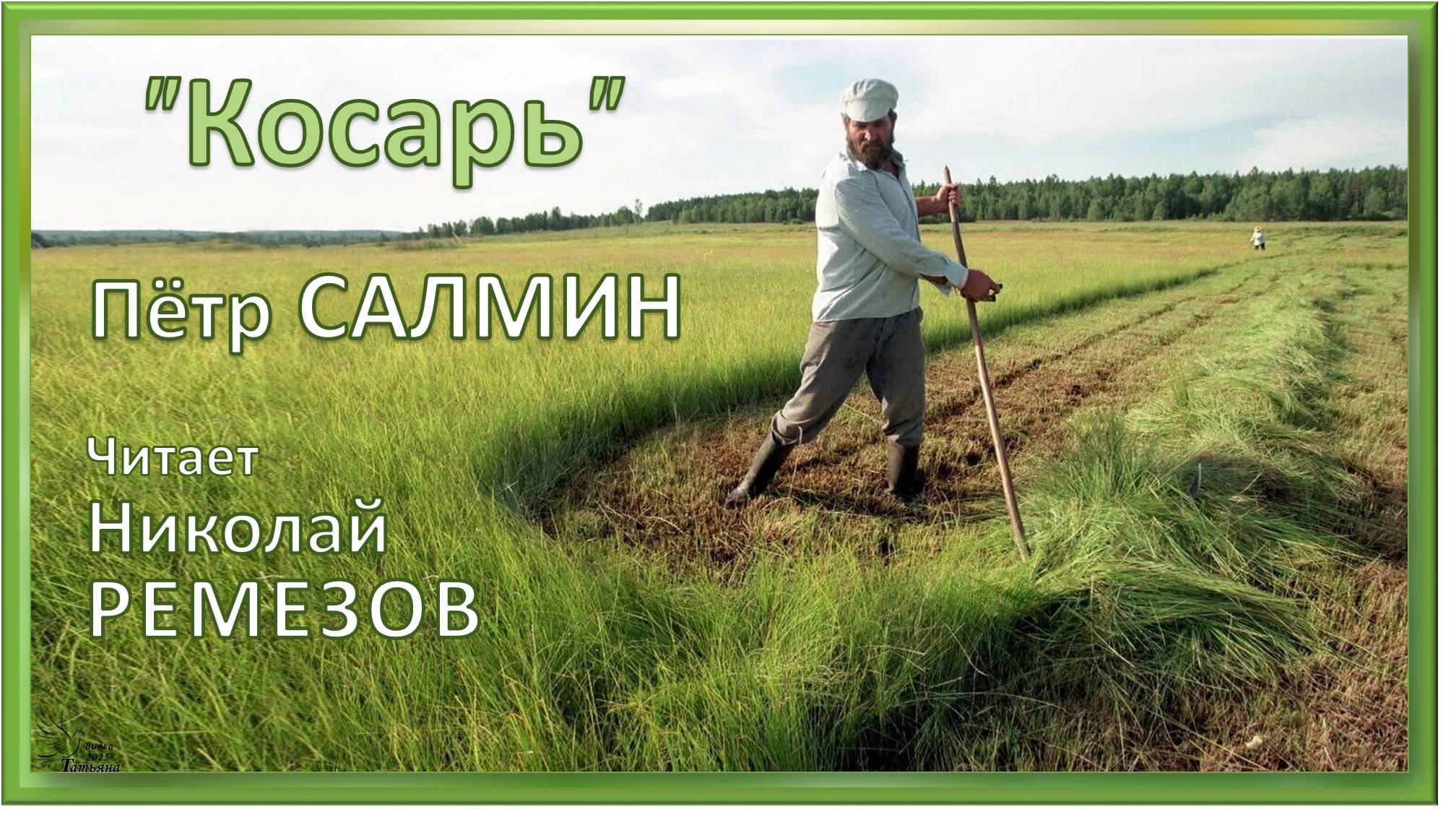 "Косарь". Пётр САЛМИН