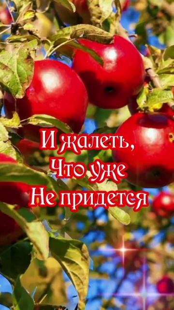 Года летят, как листья ...  музыка: Still Waiting at the Door · Agtverse