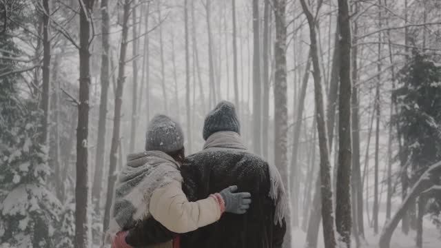 DJ Сиречь - Пламя января