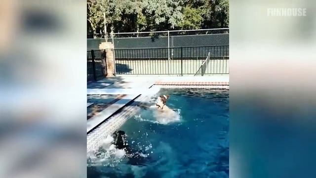 Fun #67 | Funhouse, fails | Неудачи, приколы, смешные видео