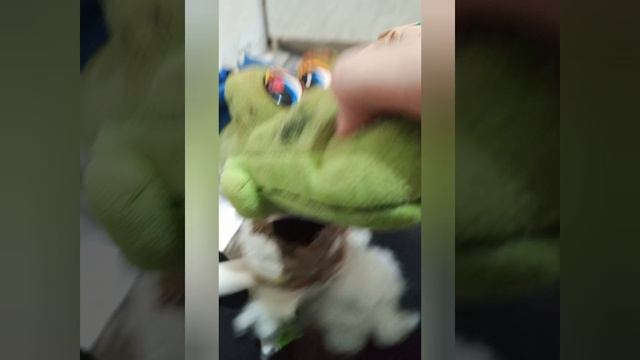 СКУЛБОЙ ЗА КАДРОМ. ВЕСЁЛЫЕ МОМЕНТЫ СО СЪЕМОК ВИДОСИКОВ