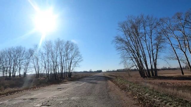 Солнечный день.😊