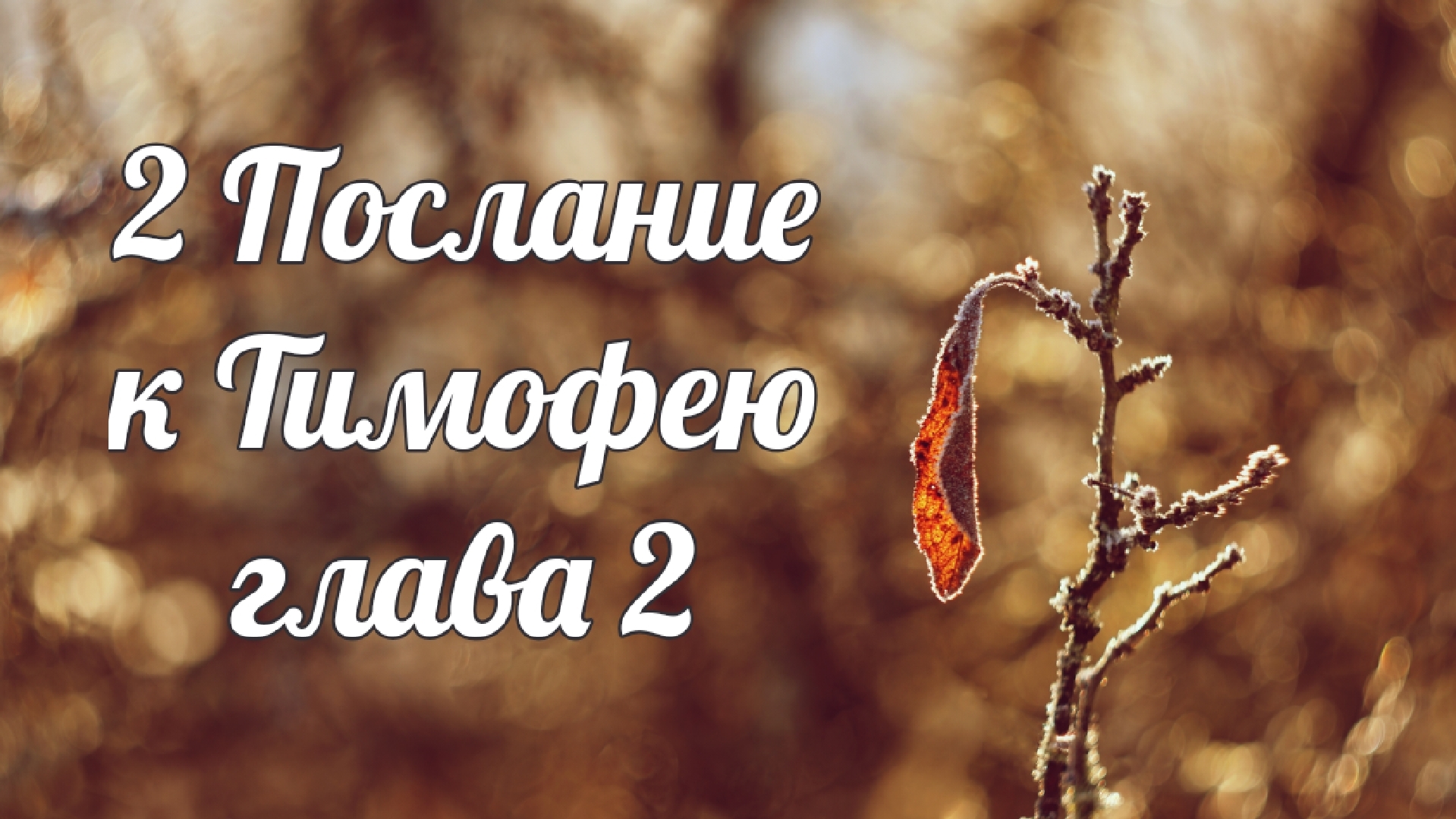 2 Послание к  Тимофею глава 2